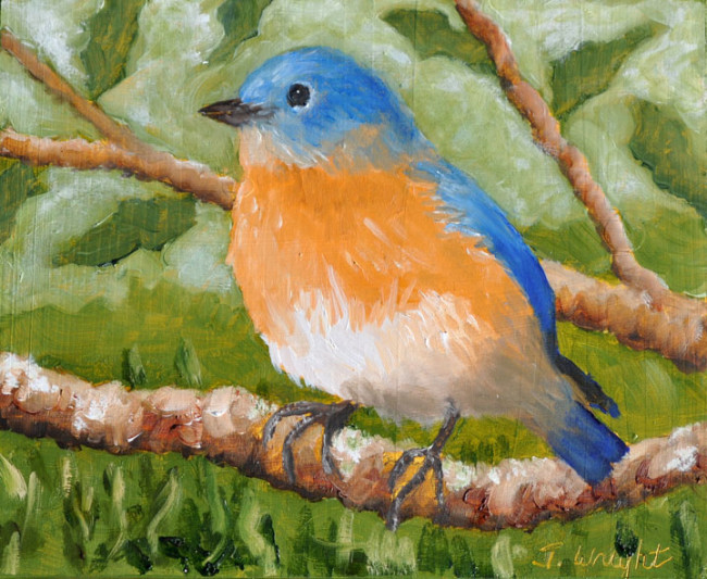 From the Studio 2016: Judith Wright